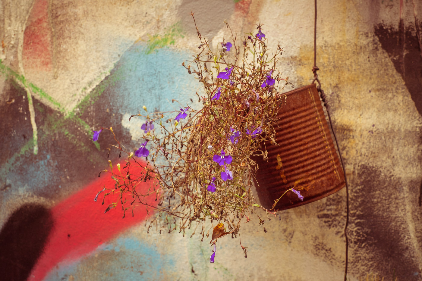 Fotowalk in der Schanze – Redöhl-Fotografie