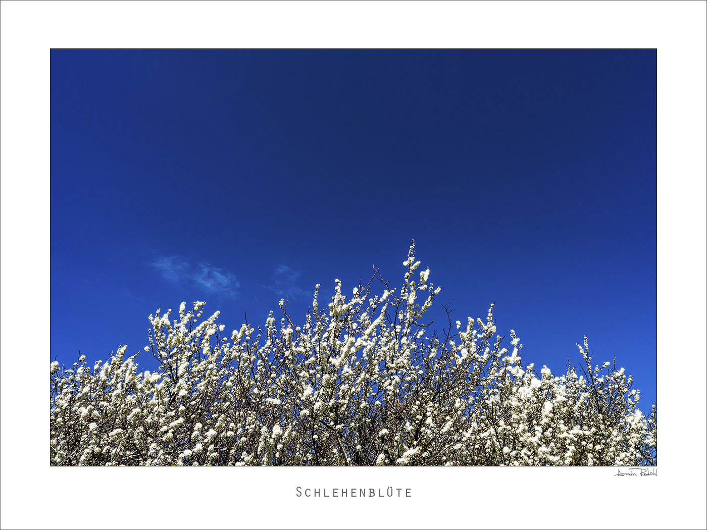 Frühling! – Redöhl-Fotografie