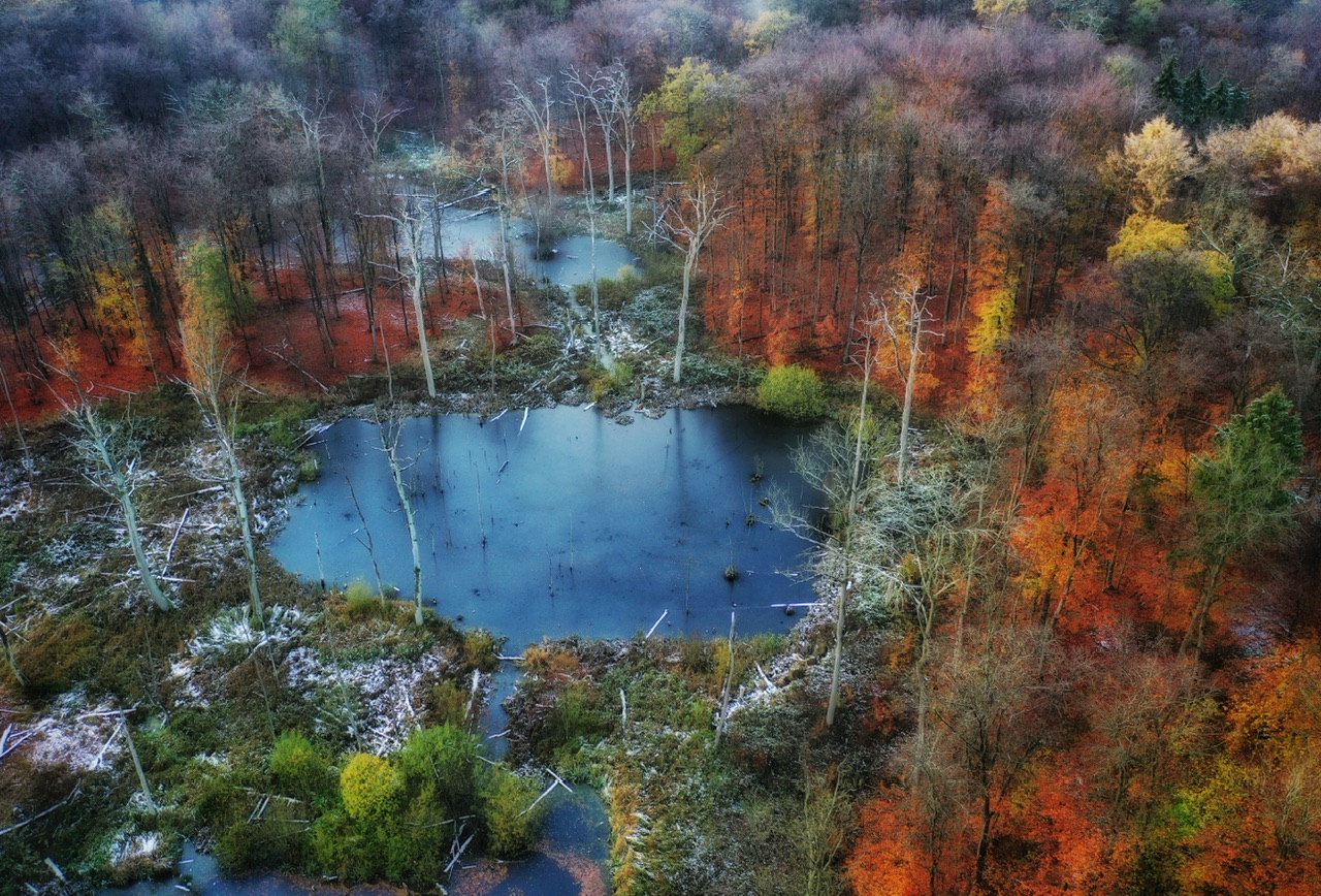Erster Schnee im November… – Redöhl-Fotografie