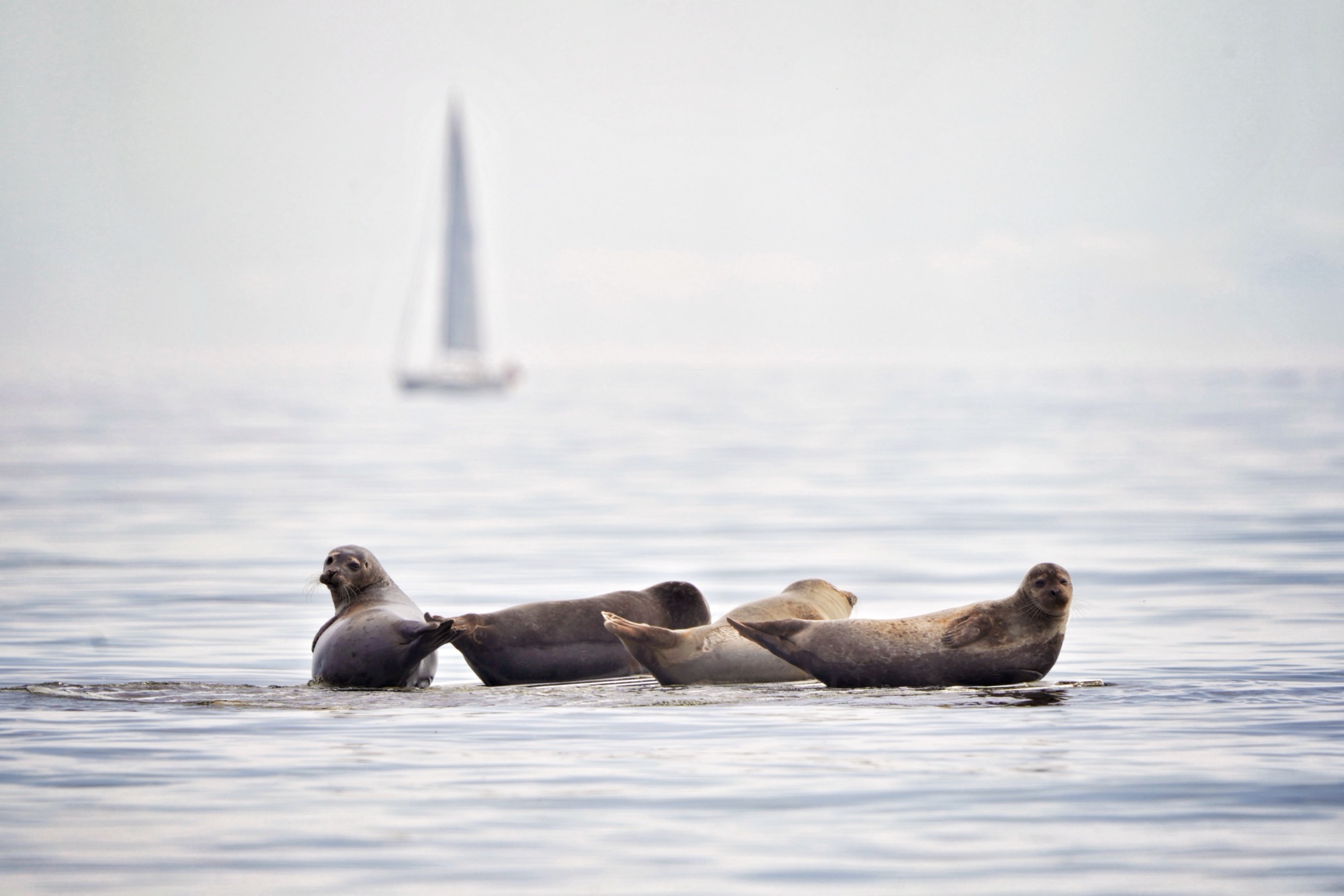 Schleswig-Holsteins schönste Ecken – Redöhl-Fotografie