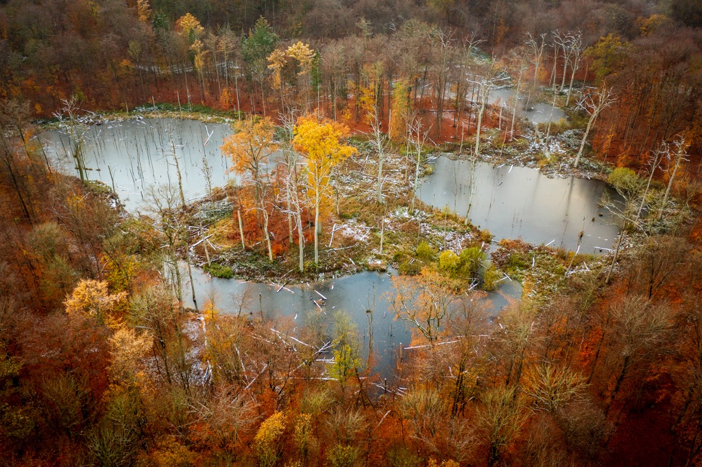 Eine schöne Überraschung – Redöhl-Fotografie